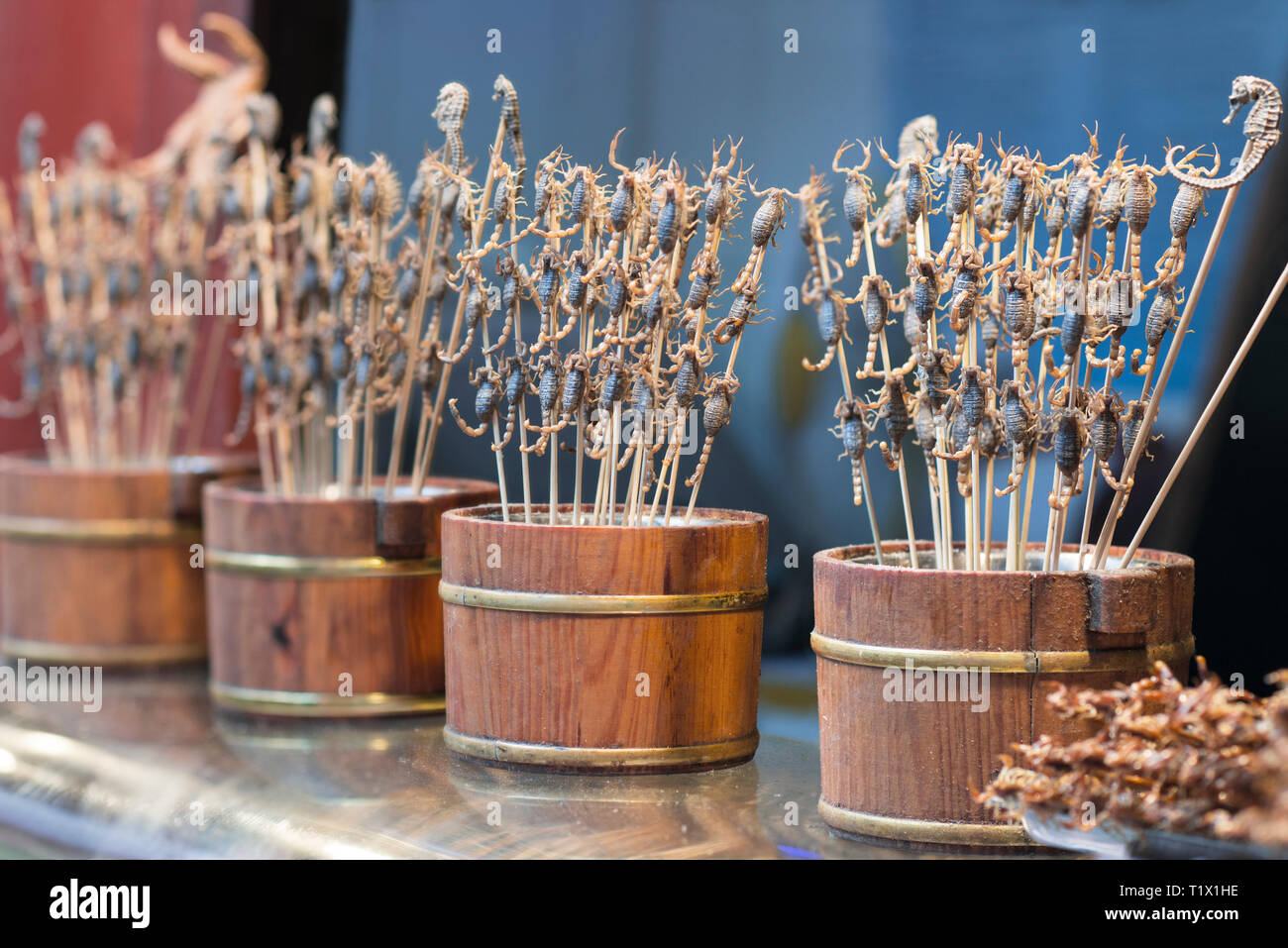Scorpions on sticks hi-res stock photography and images - Alamy