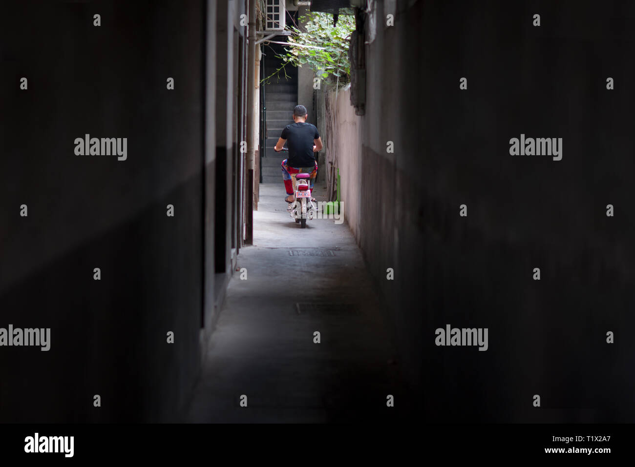 Driving without helmet hi-res stock photography and images - Alamy