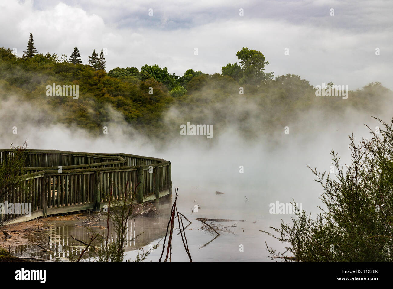 New zealand volcanic activity hi-res stock photography and images - Alamy