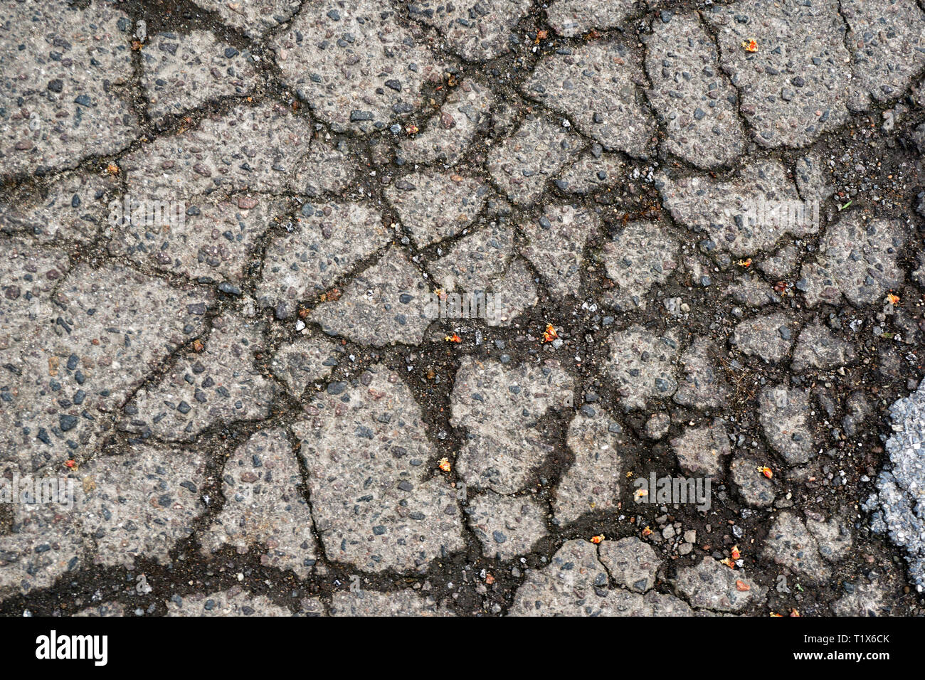 destructed tar road in a town Stock Photo - Alamy
