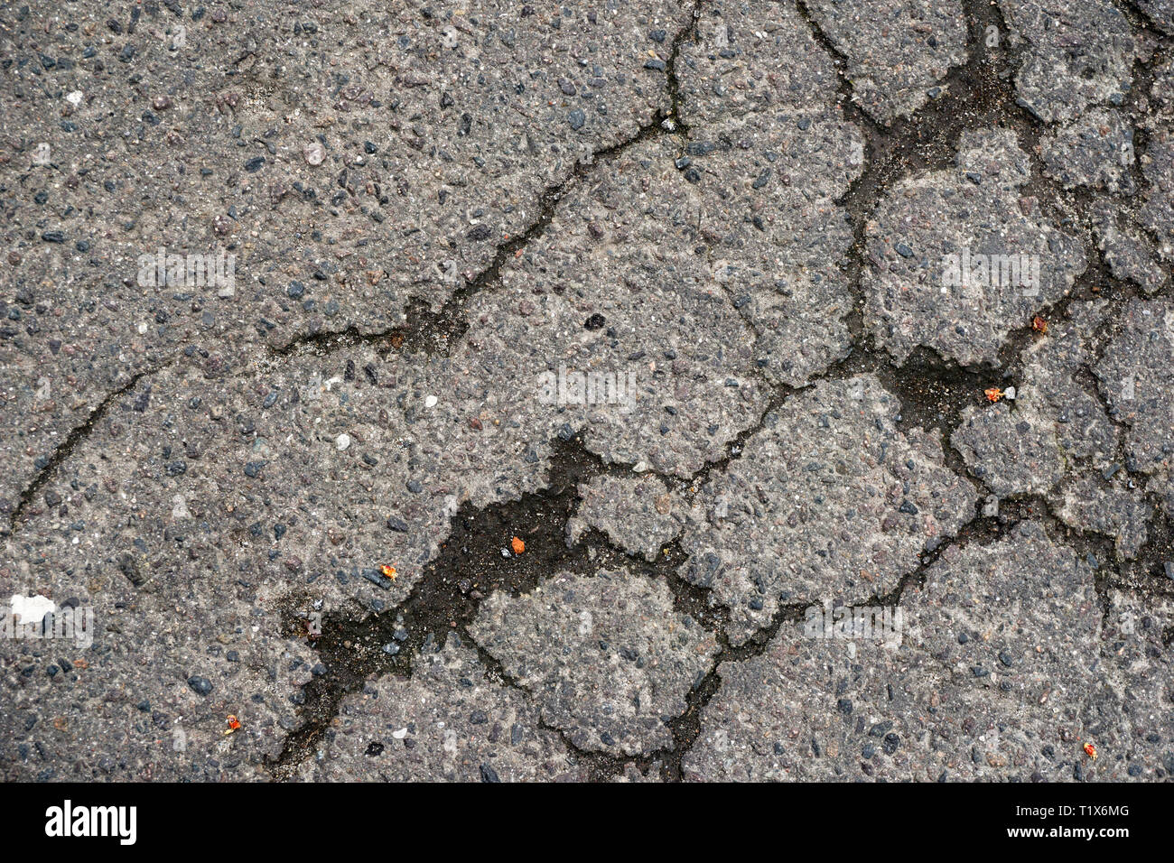 Destructed street surface hi-res stock photography and images - Alamy