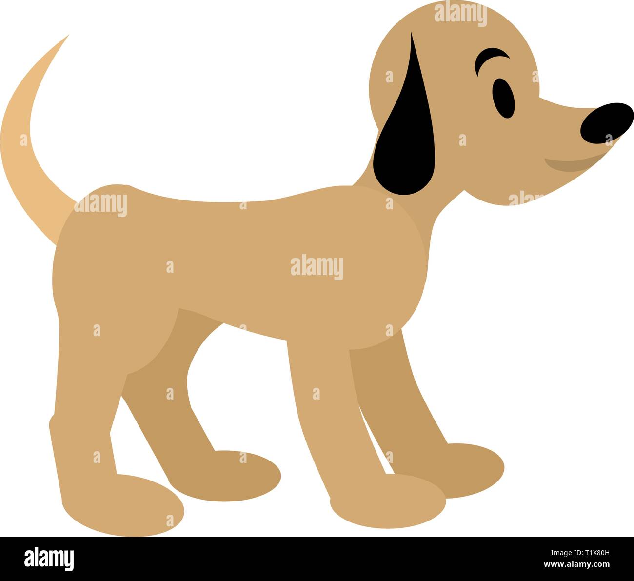 Light brown young dog vector illustration Stock Vector Image & Art - Alamy