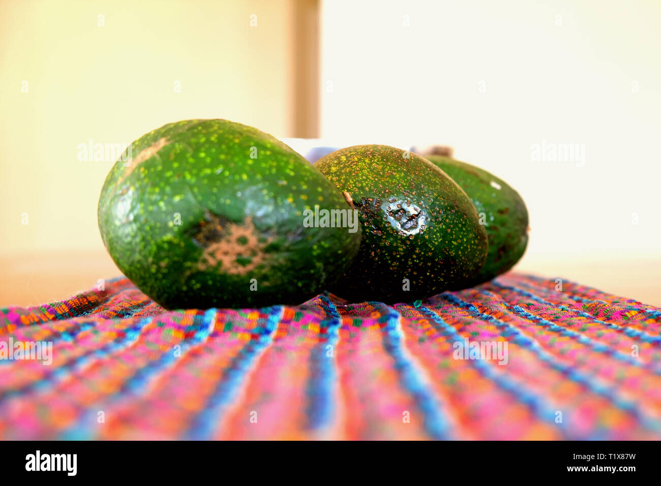 Three avocados (persea americana) on a colorfully patterned fabric; a ...