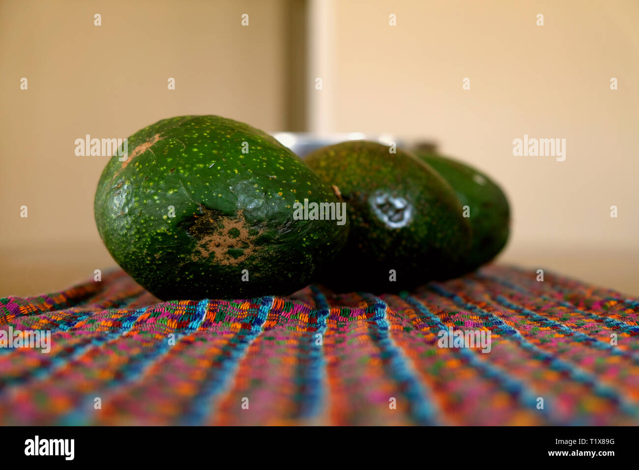 Three avocados (persea americana) on a colorfully patterned fabric; a ...