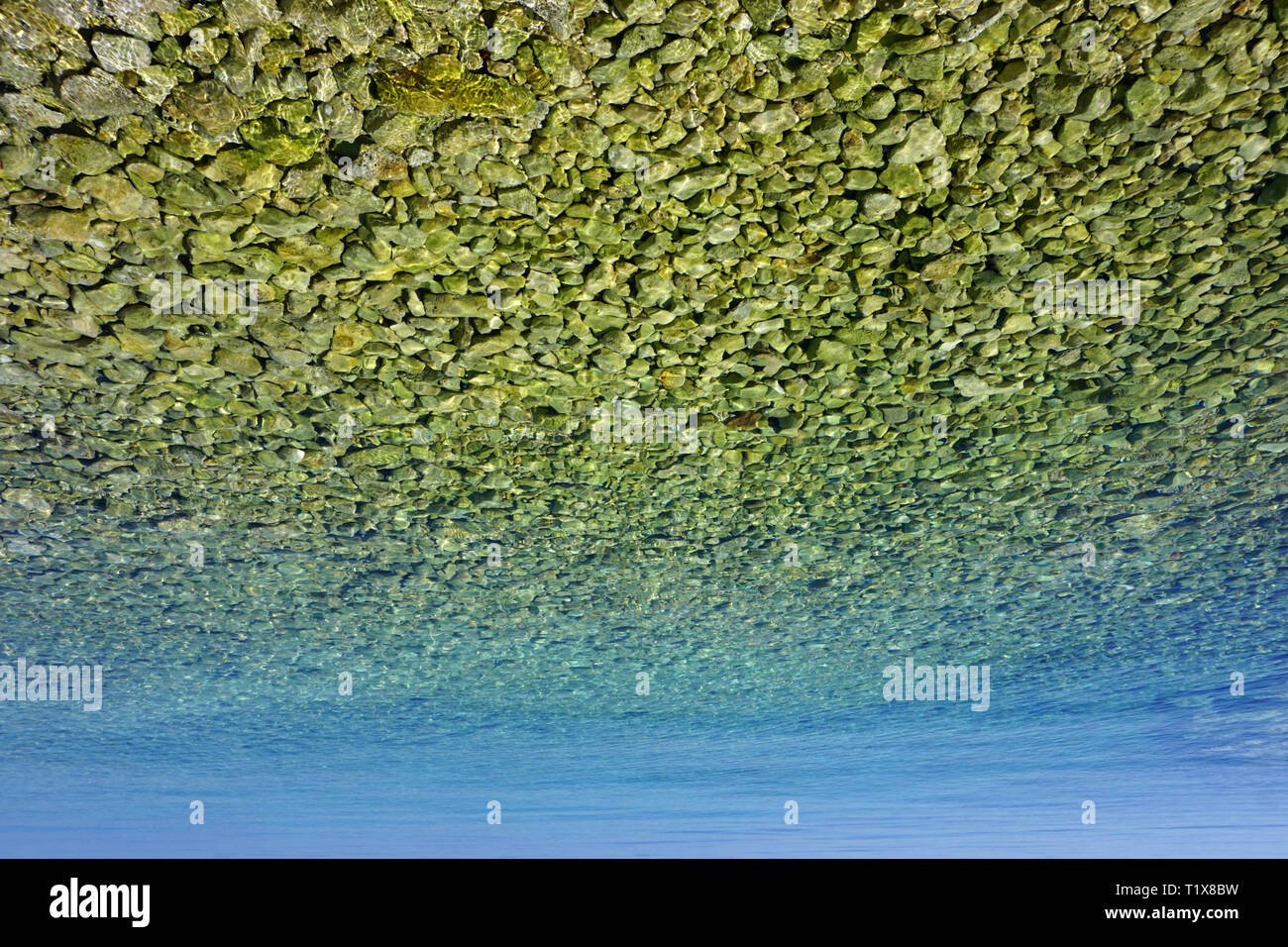 Abstract big dimension background with pebbles in sea water, in ...