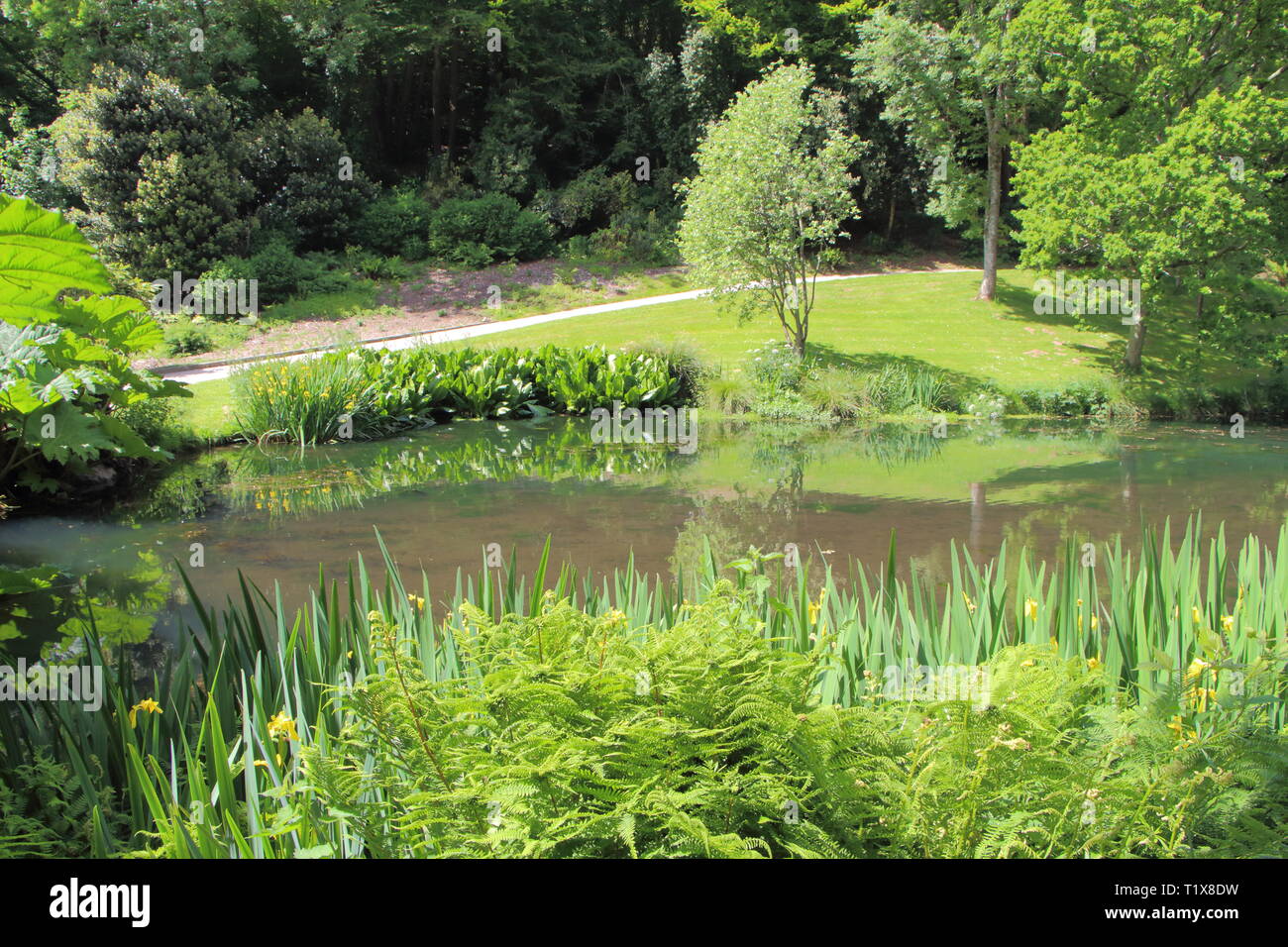 Pond and path in a park in Brittany during spring Stock Photo - Alamy
