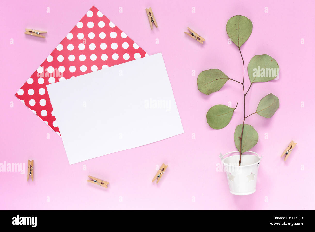 Top view on A sprig with leaves in a white bucket with a white greeting ...