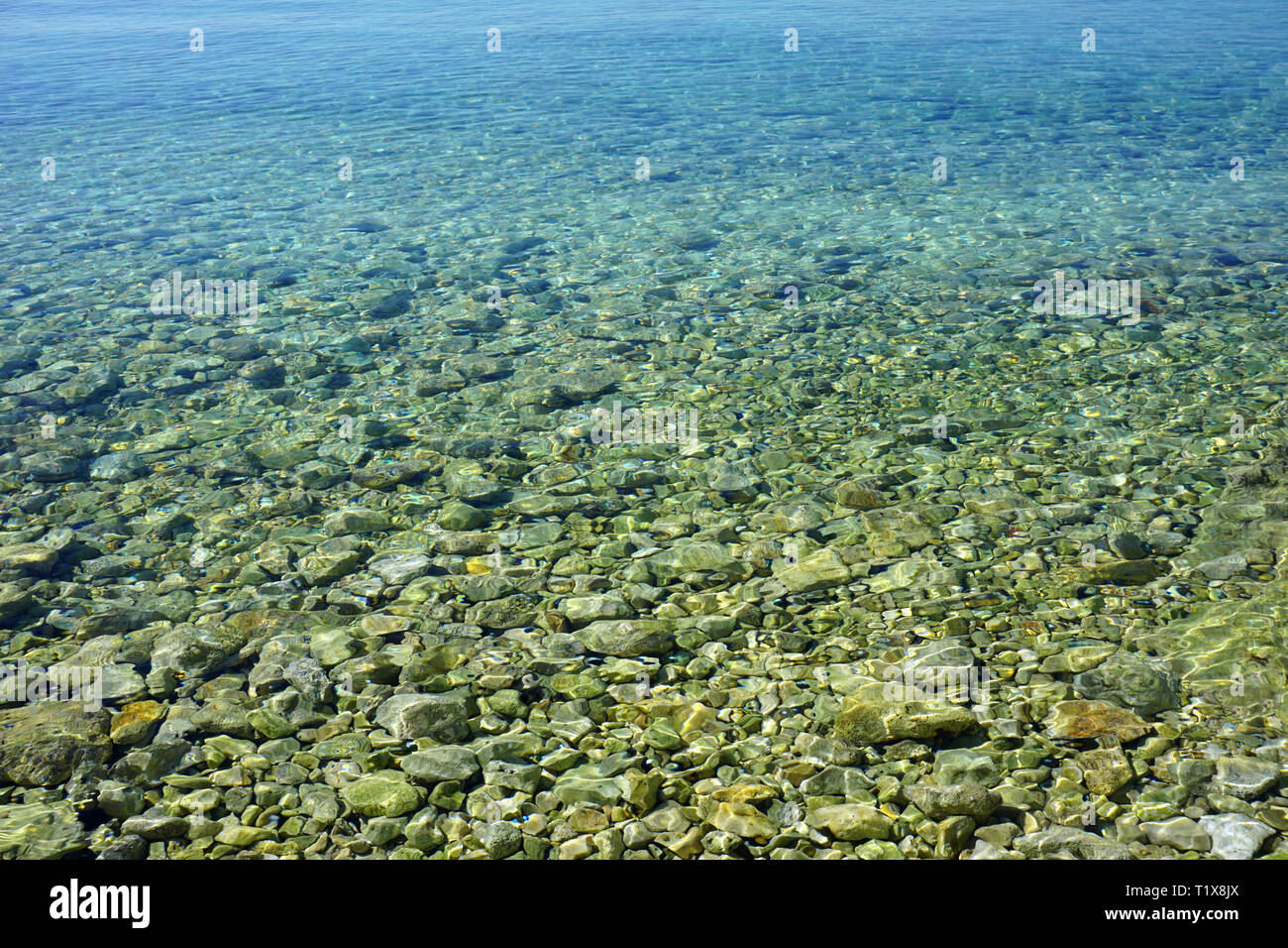 The beautiful clean blue sea in shallow water with the stones below the ...