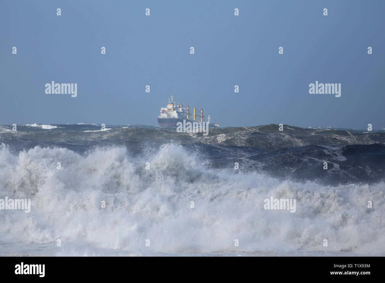 Commercial ship sailing under storm in the sea with big waves but with ...