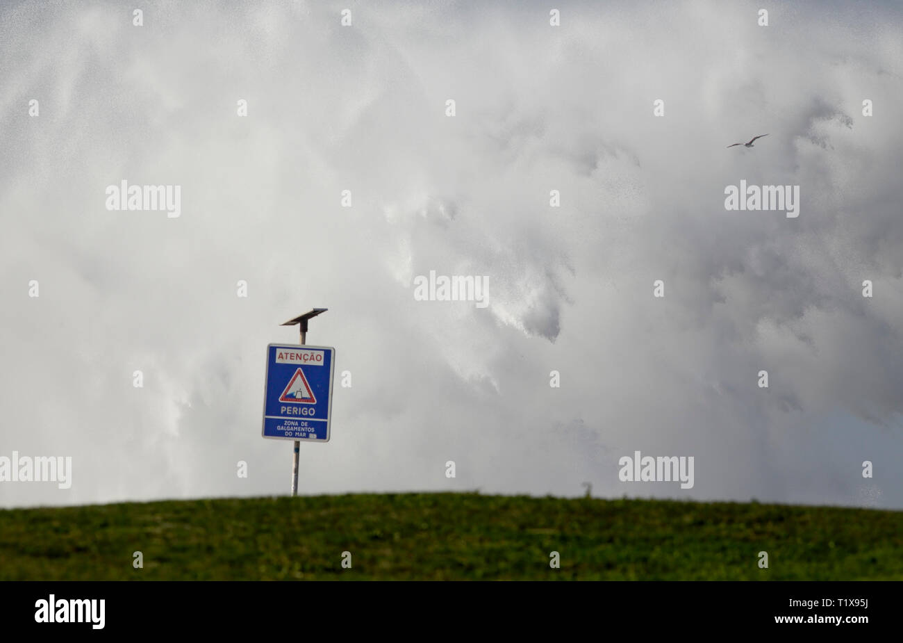Dangerous big wave splash seeing warning signs. Northern portuguese ...