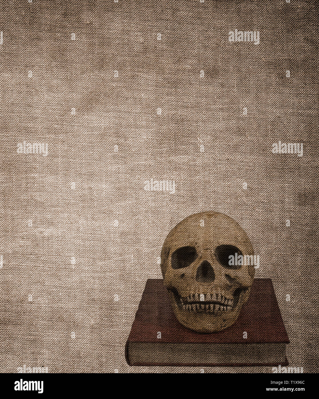 Horror book cover hi-res stock photography and images - Alamy