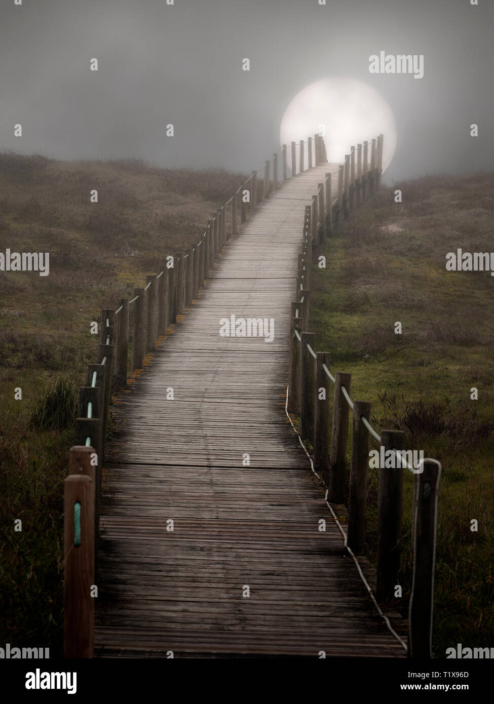 Dune walkway hi-res stock photography and images - Alamy