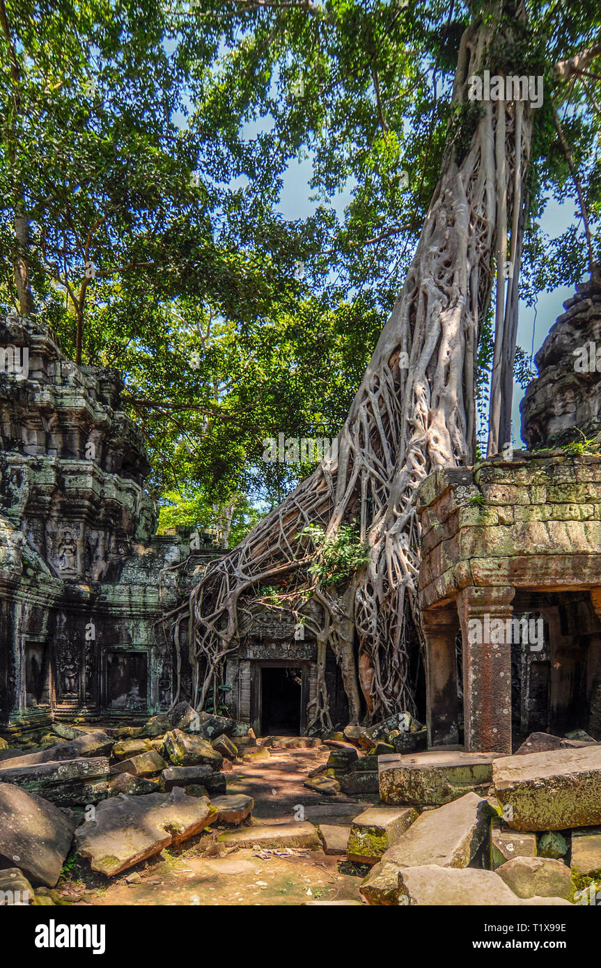 Laura croft hi-res stock photography and images - Alamy