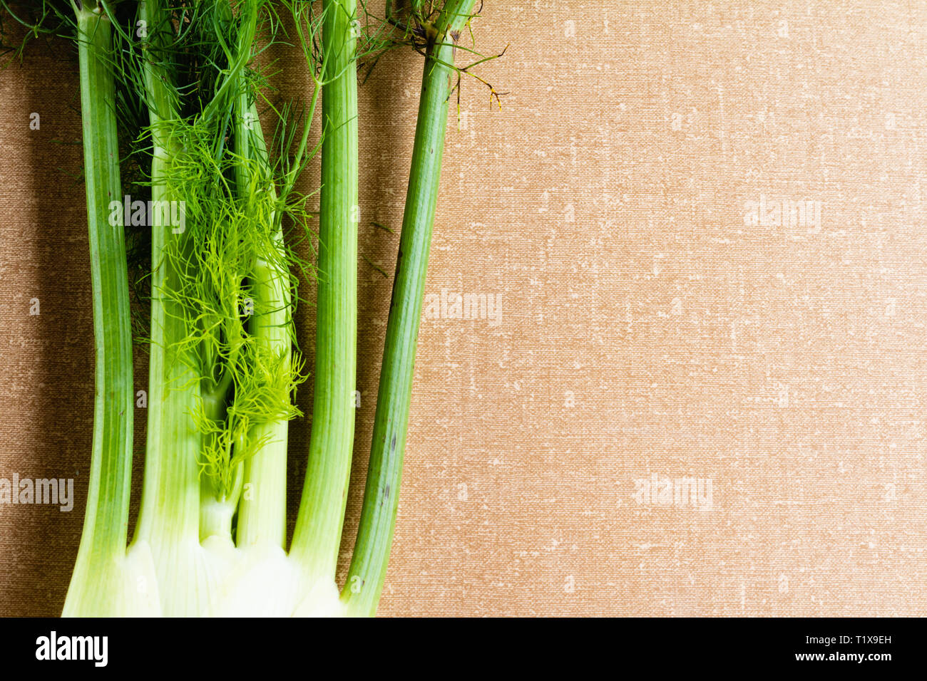 Textured vegetables hi-res stock photography and images - Alamy