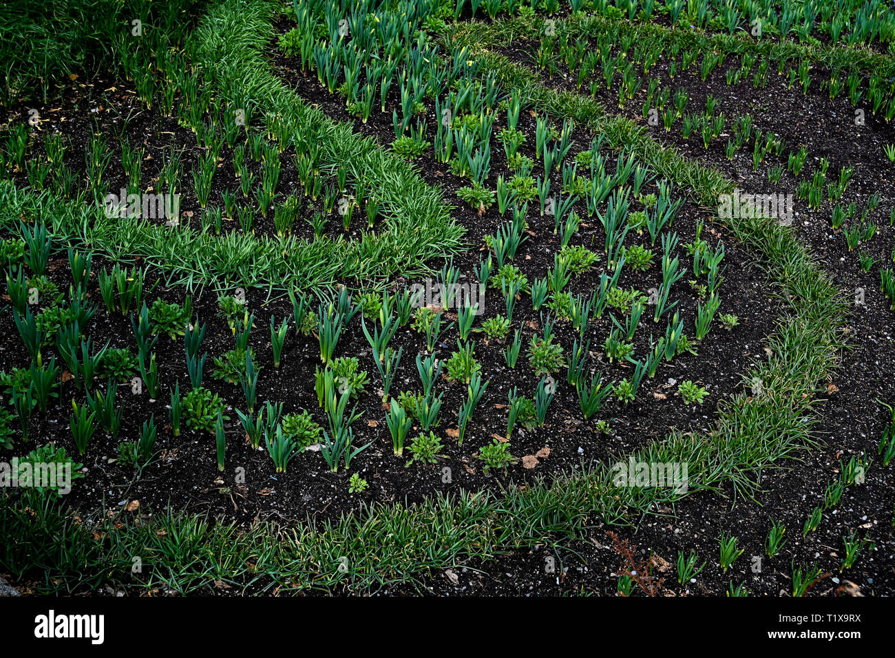 Garden design formal hi-res stock photography and images - Alamy