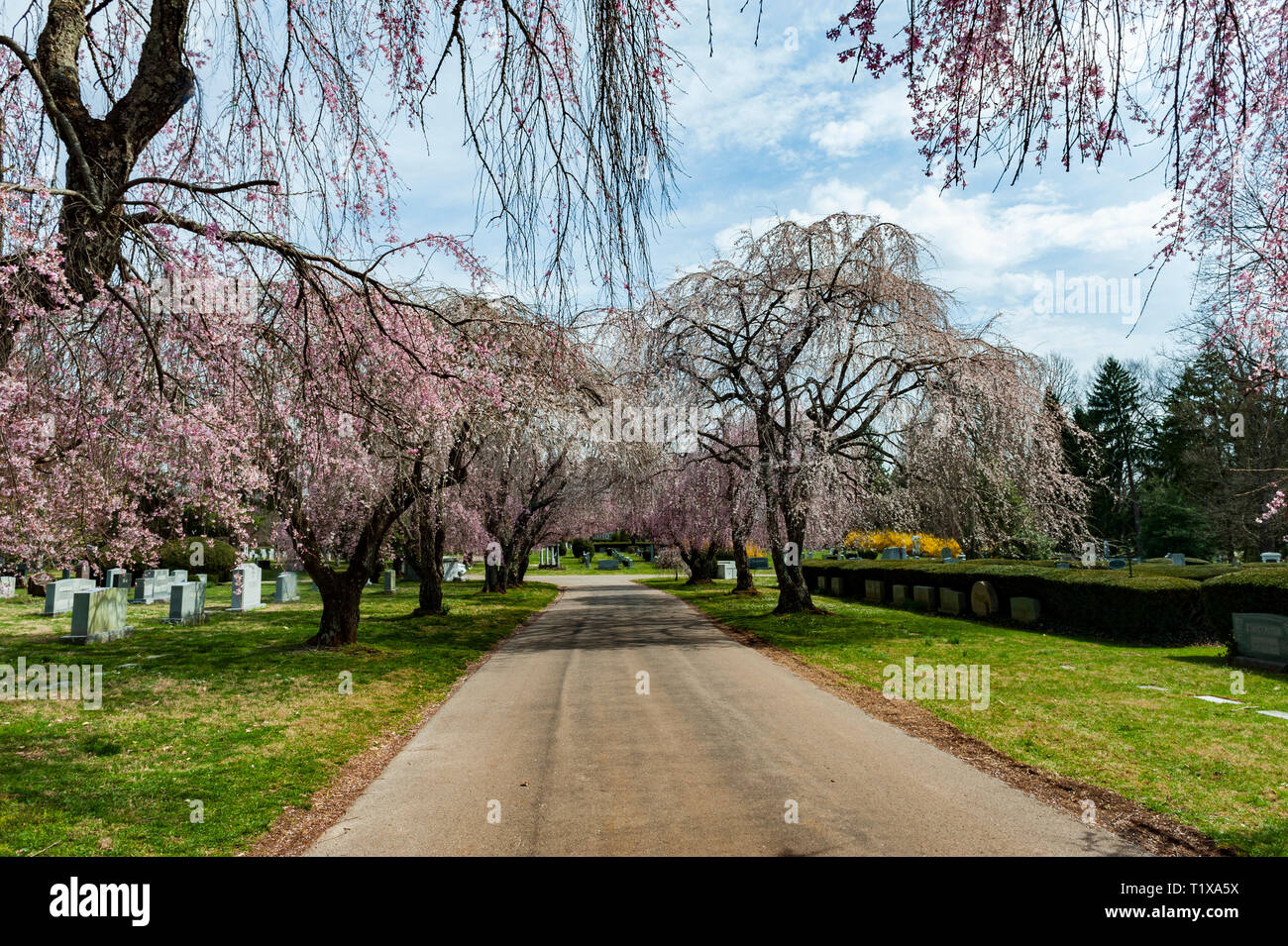 Lexington national cemetery hi-res stock photography and images - Alamy
