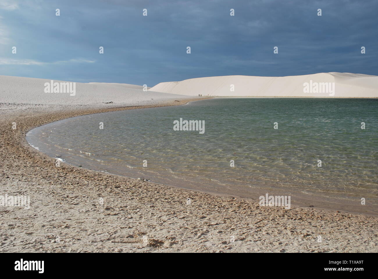 Sand Dunes On The Beach In Brazil Stock Photo - Alamy