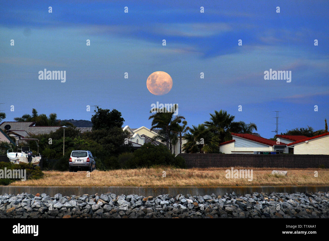 Rising over palm trees hi-res stock photography and images - Alamy
