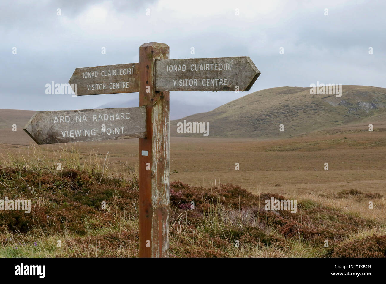 Wooden direction signs on bogland walk at the Wild Nephin National Park ...