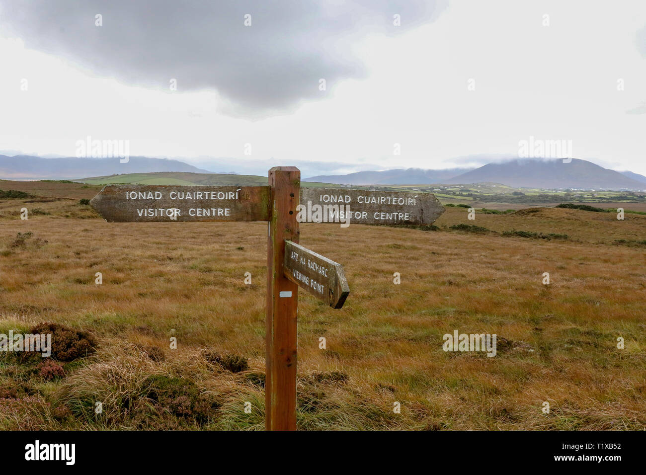Nephin Beg Mountains and bogland in County Mayo behind a walking route ...