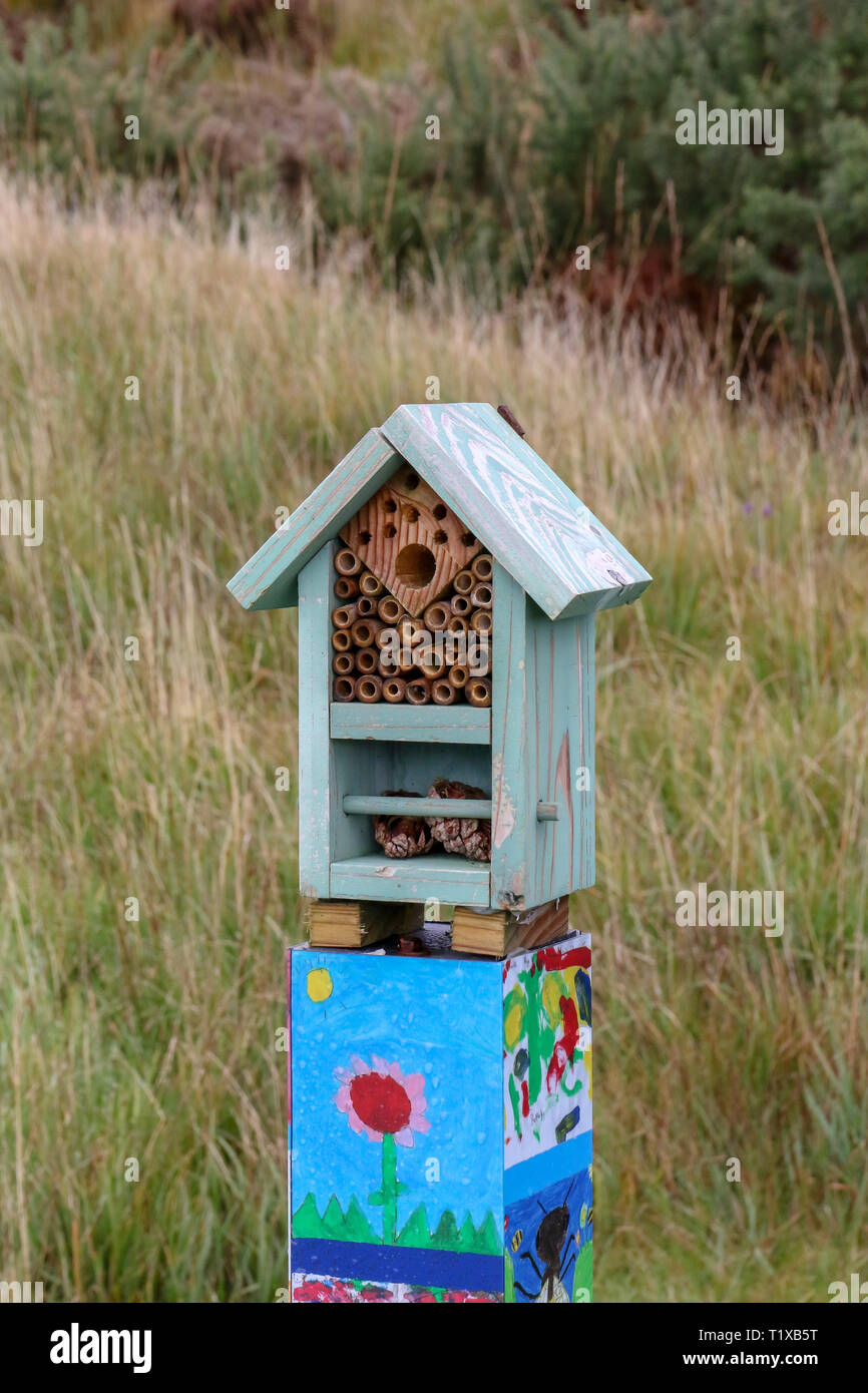 Insect box hi-res stock photography and images - Alamy