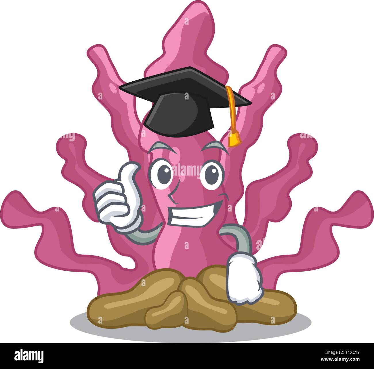 Graduation pink seaweed cartoons under the sea Stock Vector Image & Art ...