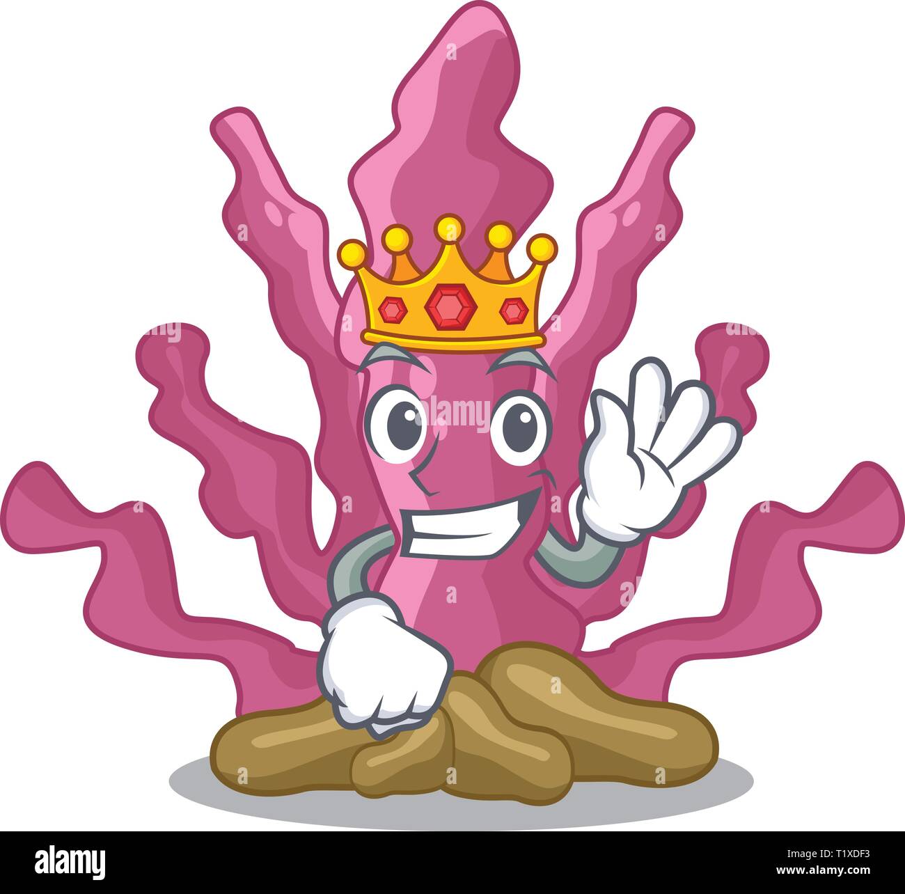 King pink seaweed in the mascot aquarium Stock Vector Image & Art - Alamy
