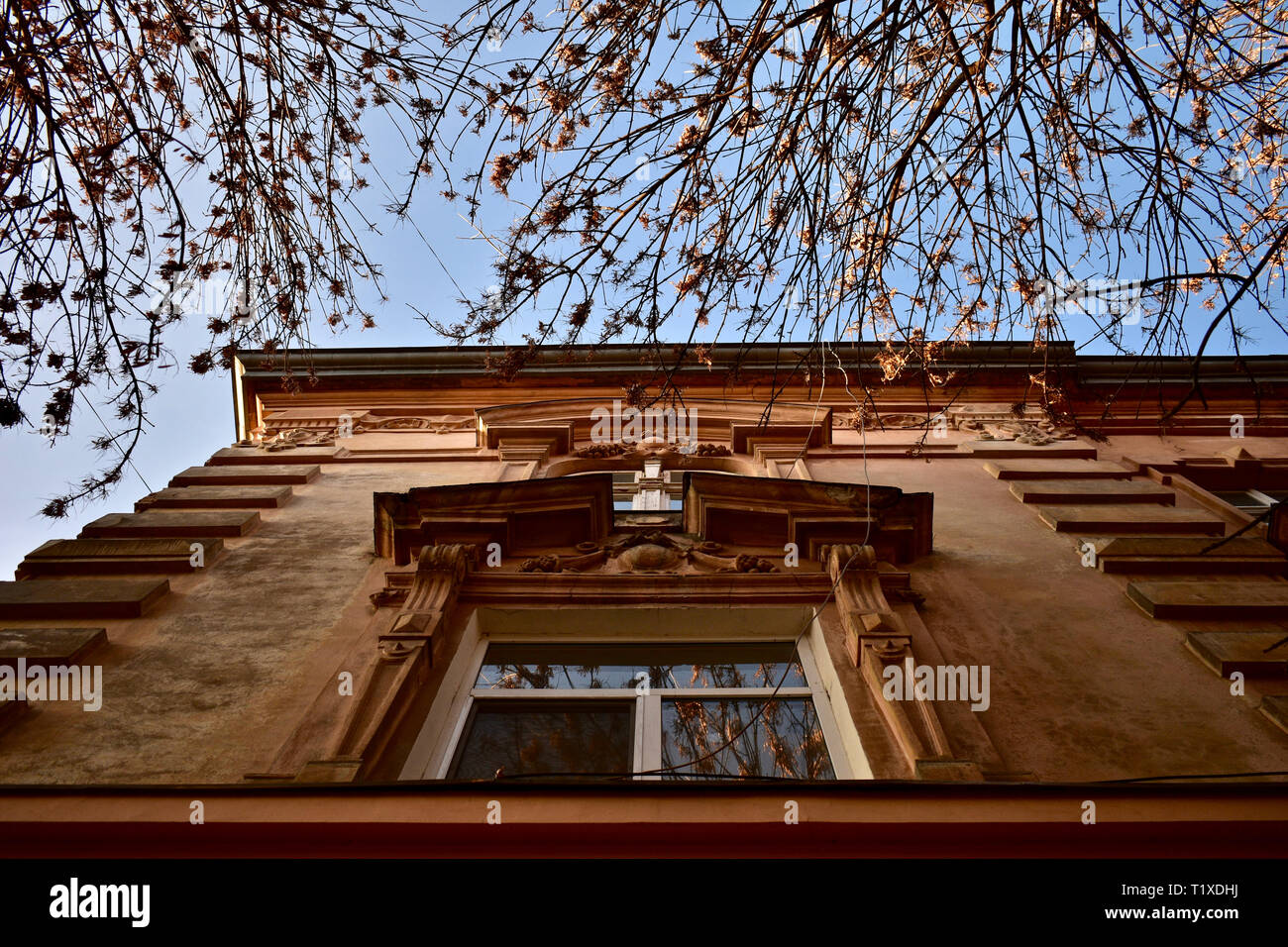 Liov hi-res stock photography and images - Alamy