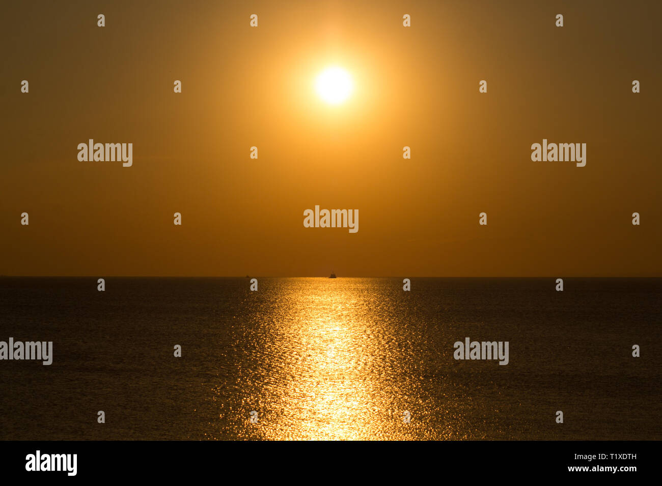 Yellow sunset on the sea. sea sunset background. yellow sky evening ...