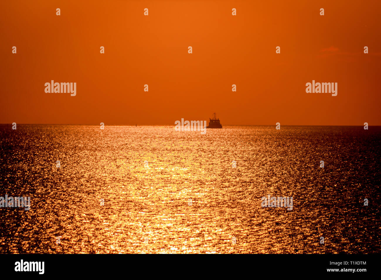 Yellow sunset on the sea. sea sunset background. yellow sky evening ...