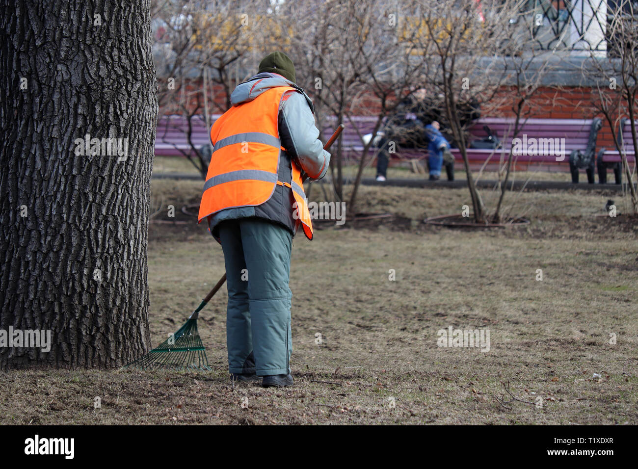Sweeping hi-res stock photography and images - Alamy