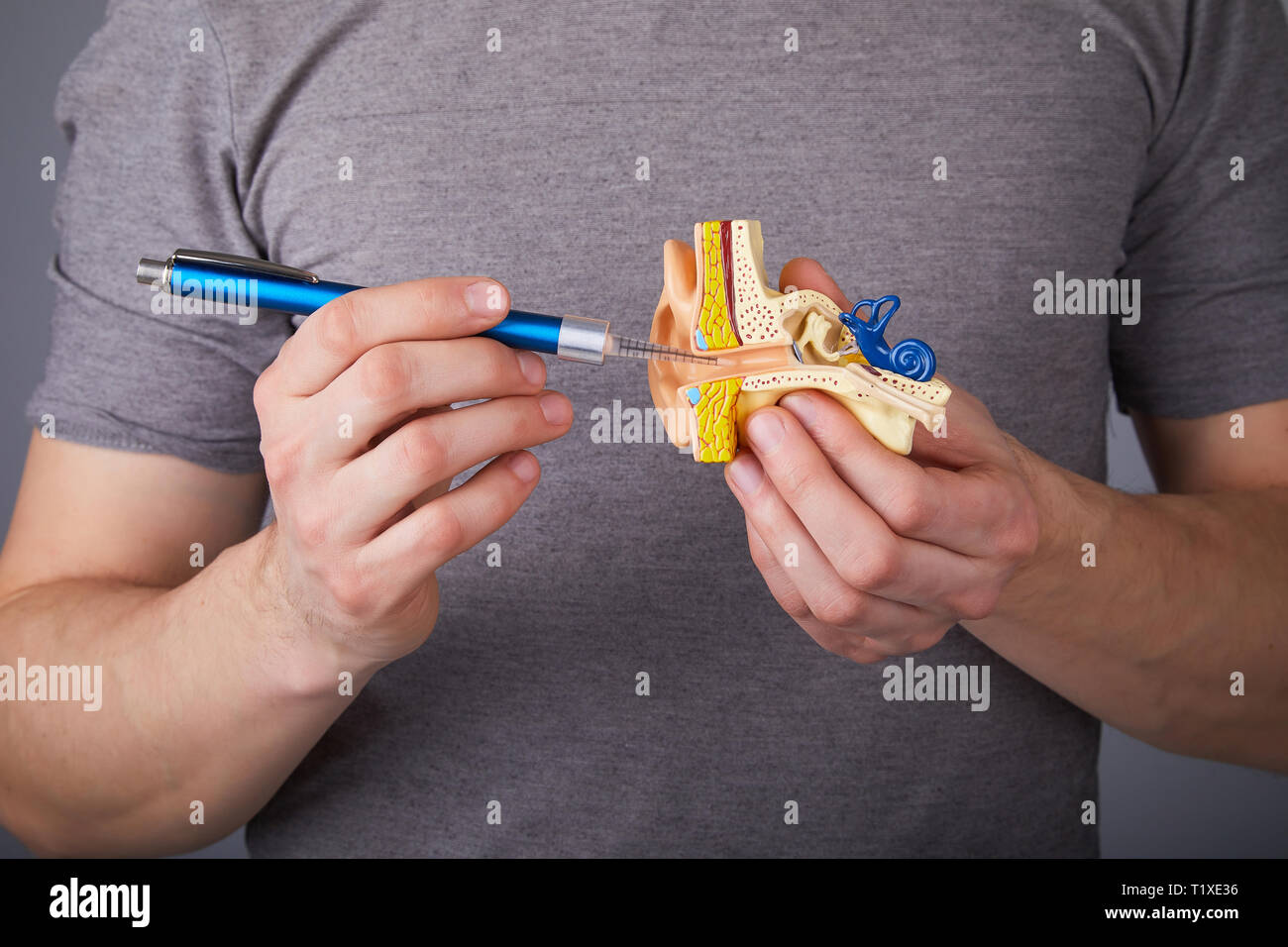 Man holding and pointing with Medical otoscope on the model of the ...