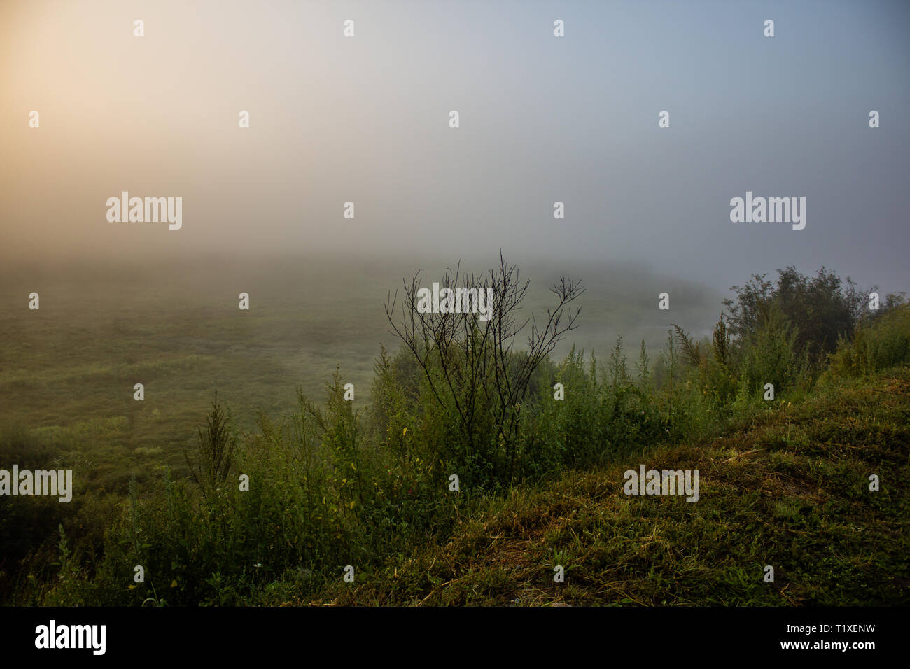 Mist over the river. Morning fog. Evaporation from water. Summer fog ...