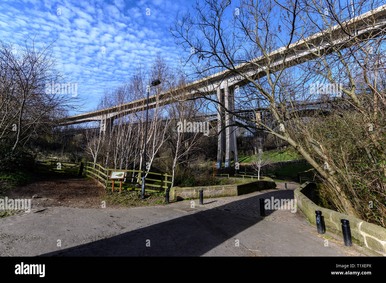 Ouseburn valley hi-res stock photography and images - Alamy