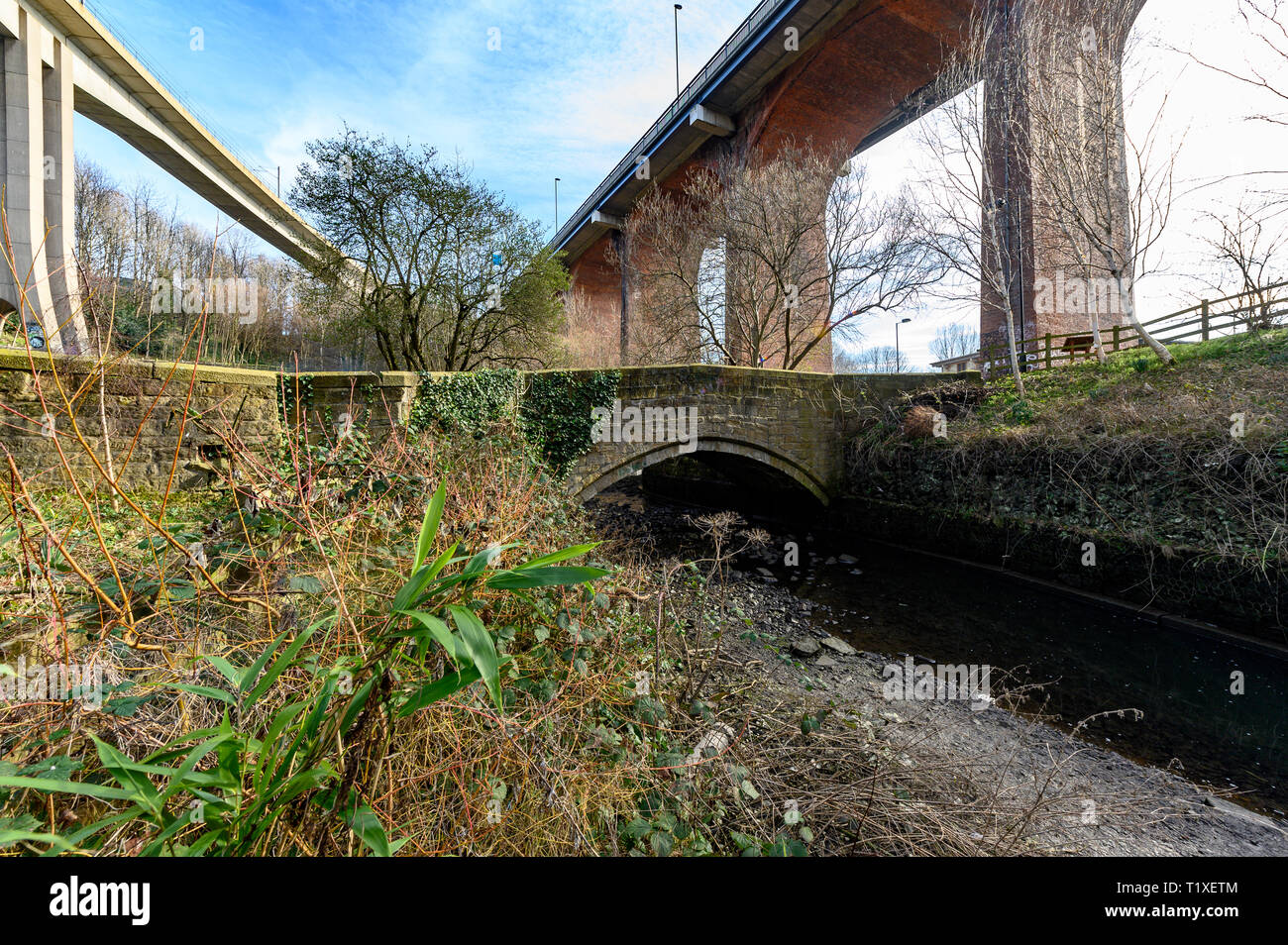 Ouseburn Valley, Newcastle upon Tyne, UK Stock Photo - Alamy
