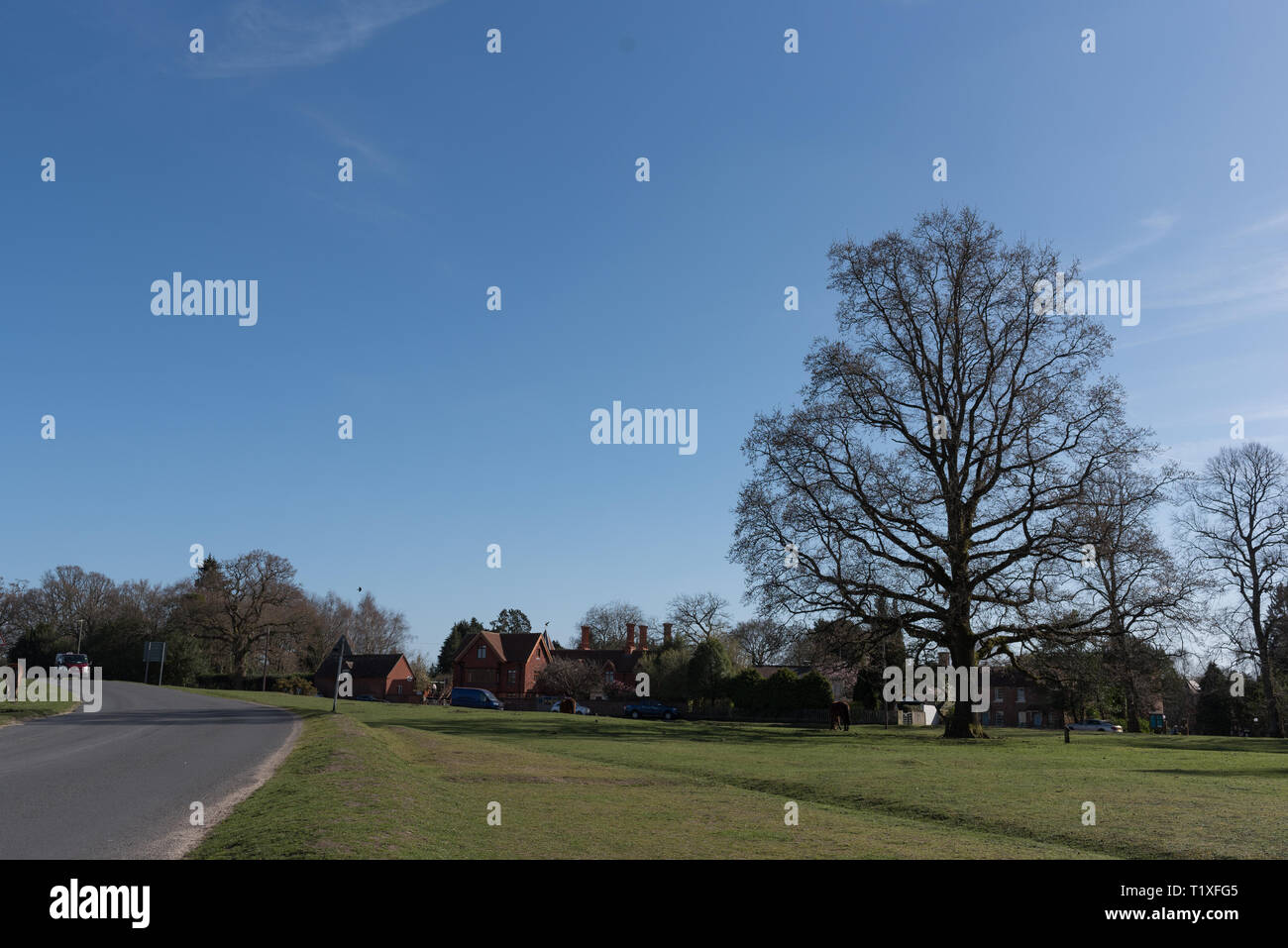 Lyndhurst hampshire hi-res stock photography and images - Alamy
