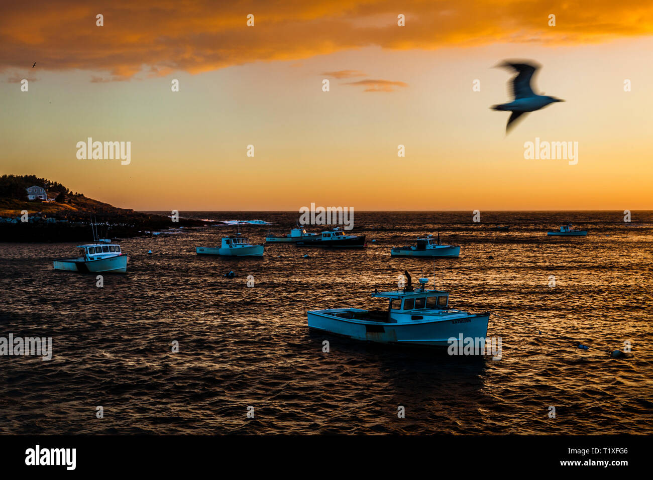 Harbor Monhegan Island, Maine, USA Stock Photo - Alamy