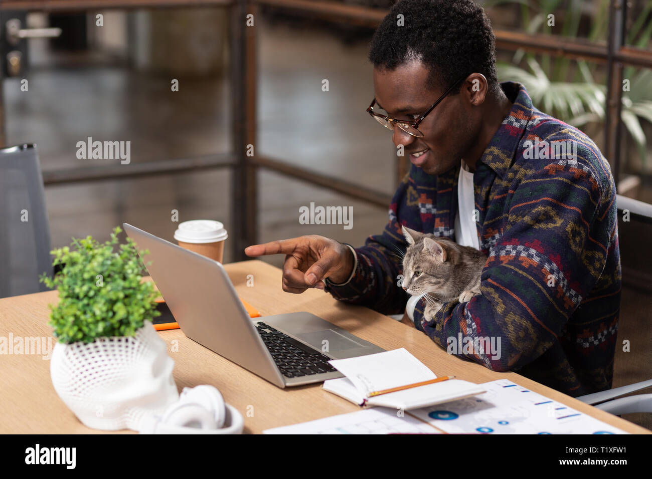 Cat sitting with his owner while workday Stock Photo - Alamy