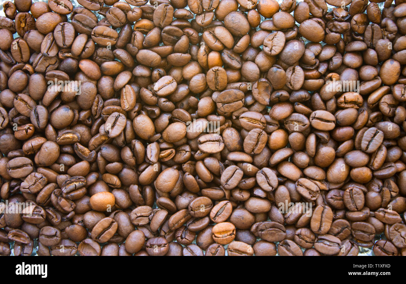 Roasted arabica coffee beans closeup background. Texture Stock Photo ...