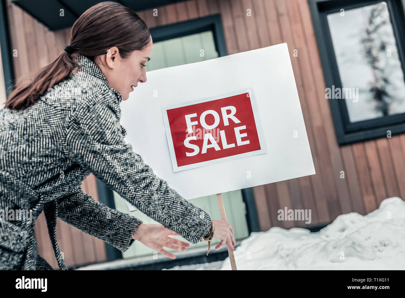 Real estate agent with ponytail putting for sail sign into snow Stock ...
