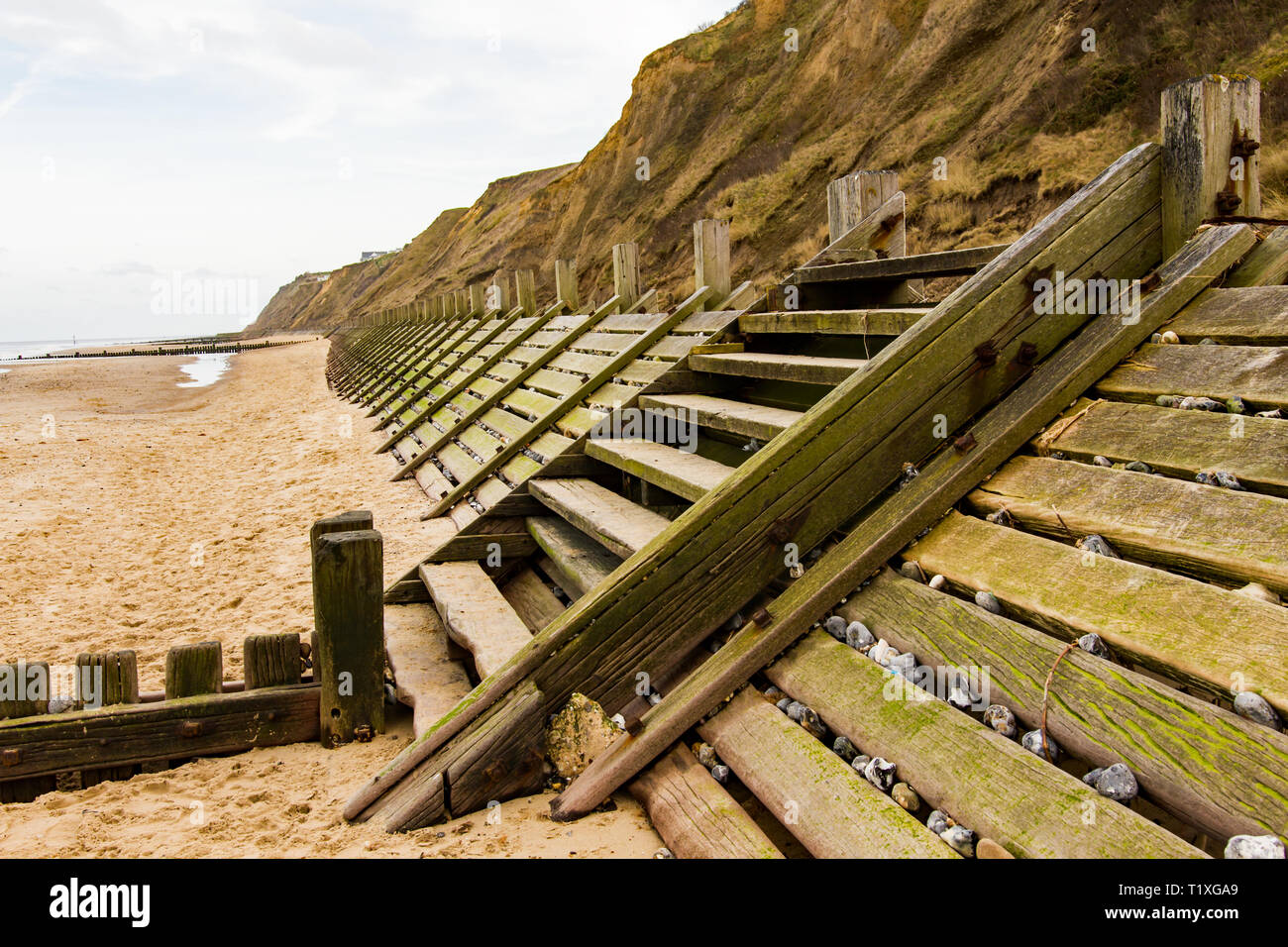 Wooden sea defences in front of eroded cliffs on the Norfolk coast ...