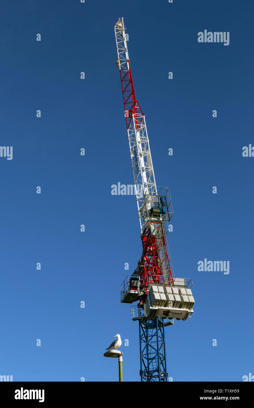 Tolent construction limited hi-res stock photography and images - Alamy