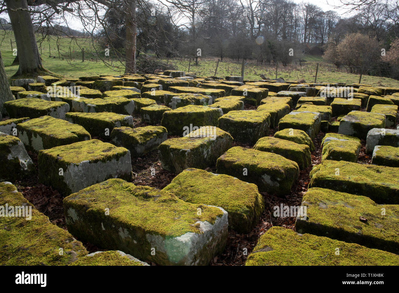Masonry remains on Hadrian's Wall beside Chesters Fort Stock Photo - Alamy