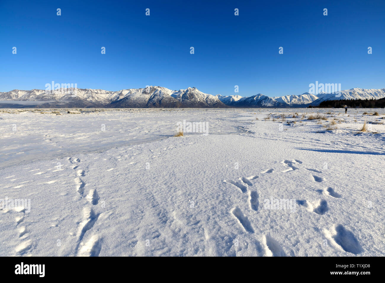 Chugach range hi-res stock photography and images - Alamy