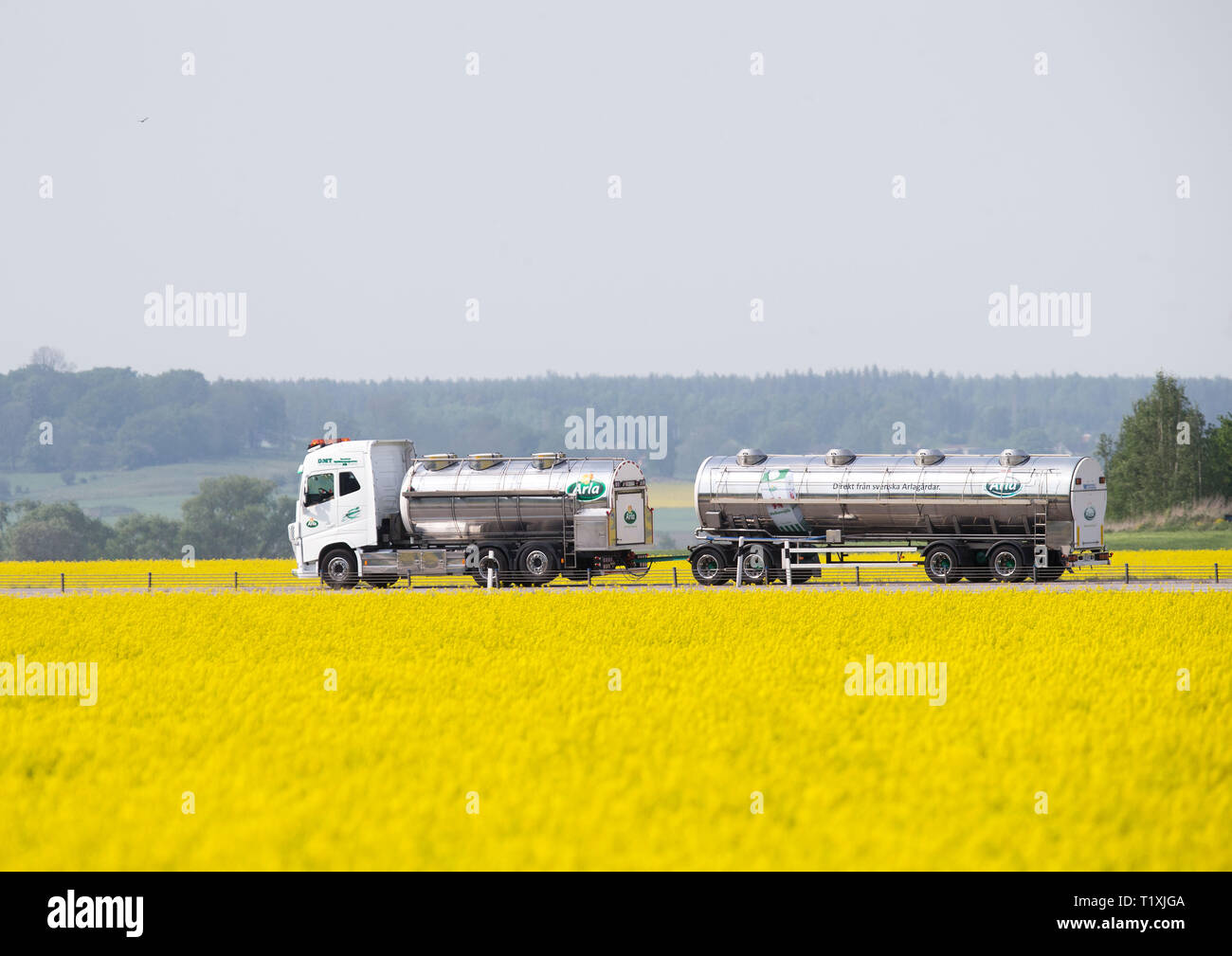 Milk car from Arla dairy Stock Photo - Alamy