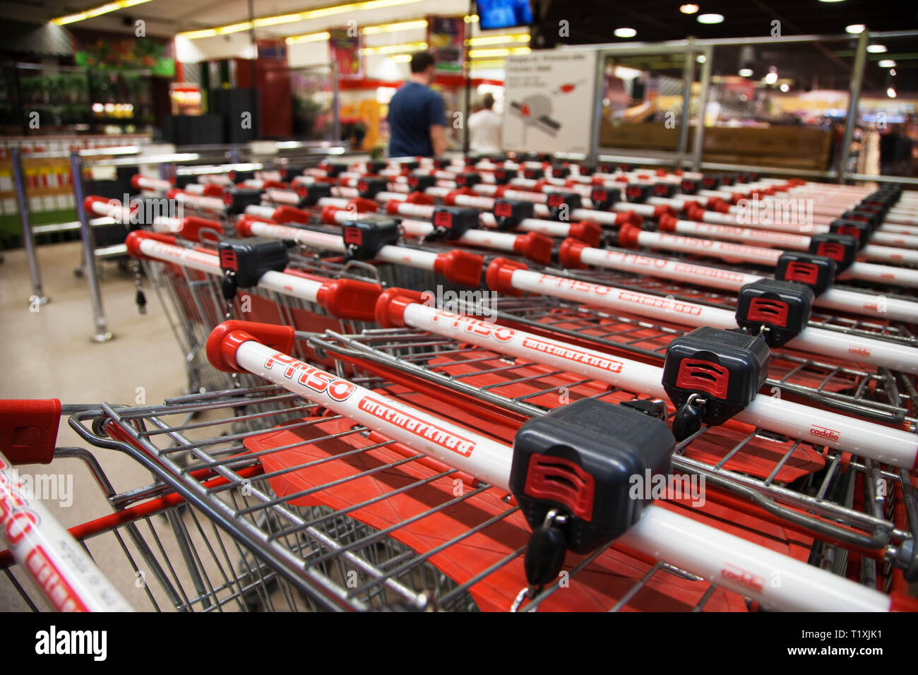 Shopping carts inside a grocery store Stock Photo - Alamy