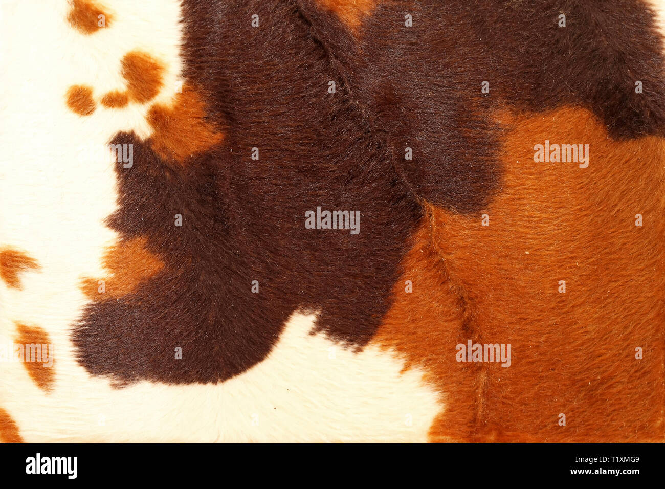 Unique hide pattern hi-res stock photography and images - Alamy