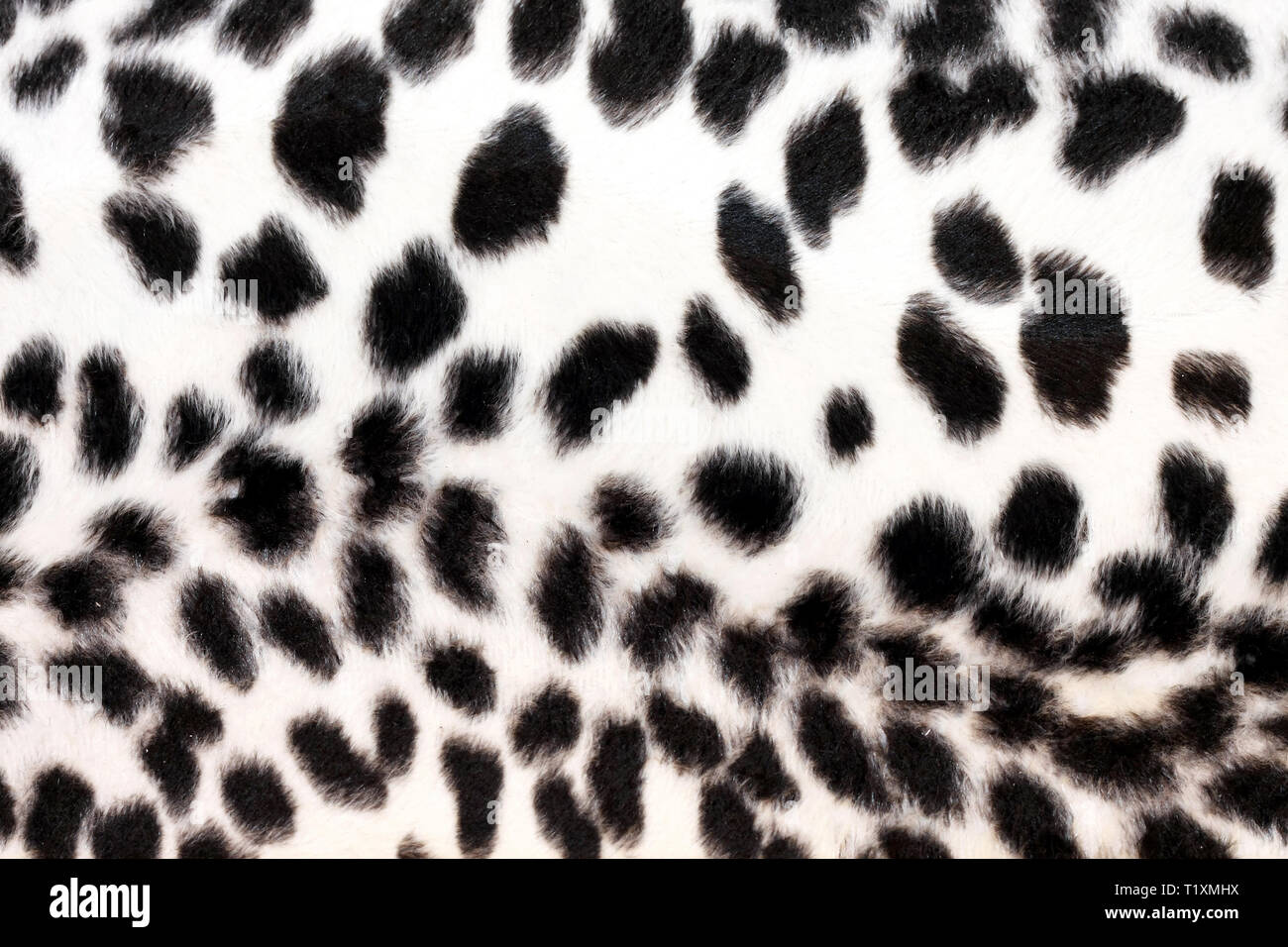 Wild African animal hide pattern white leopard Stock Photo - Alamy