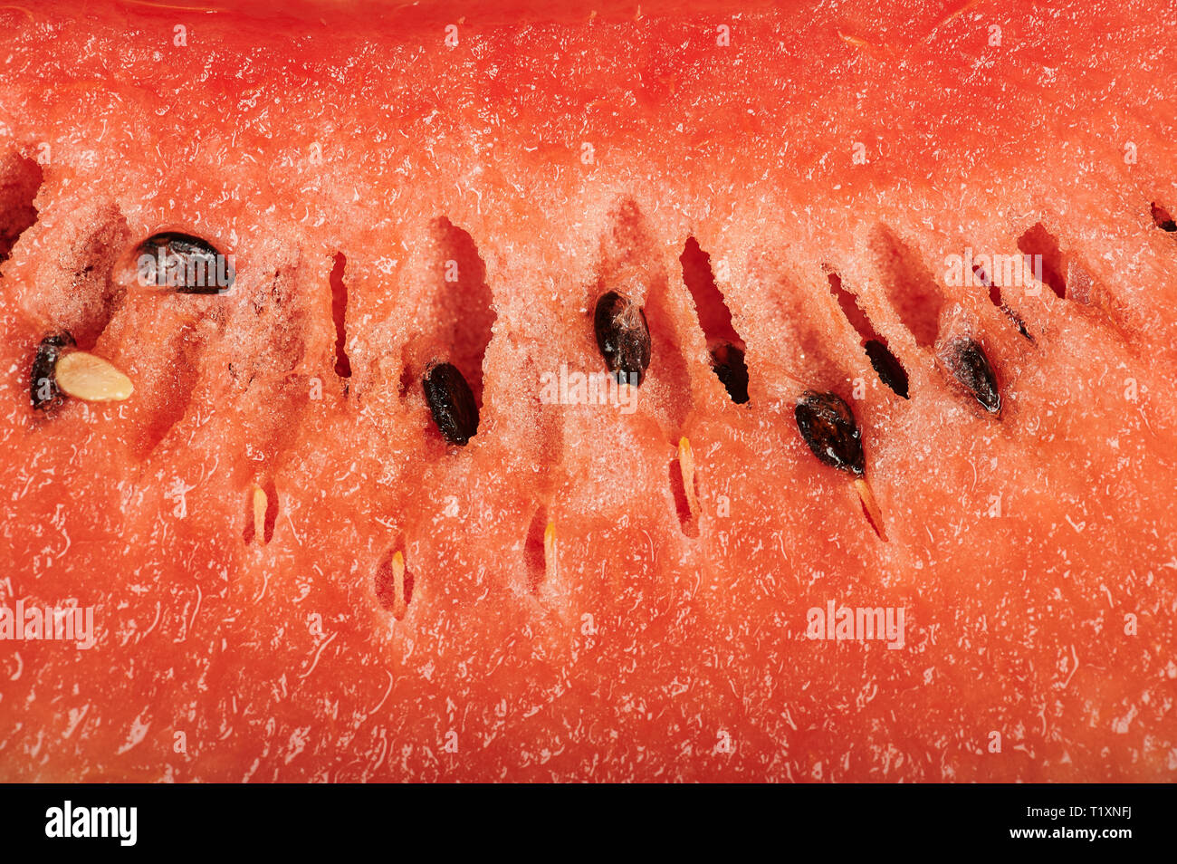 Watermelon Skin Texture Map