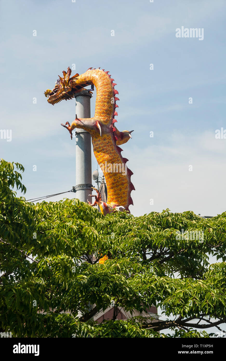 Dragon Sculpture on Electrical Pole in the International District in ...